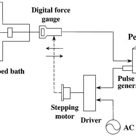 Diagram Of Experimental Apparatus For Tensile Loading The Grip To Grip