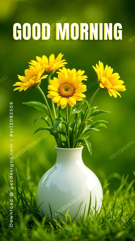 Hd Morning Flowers