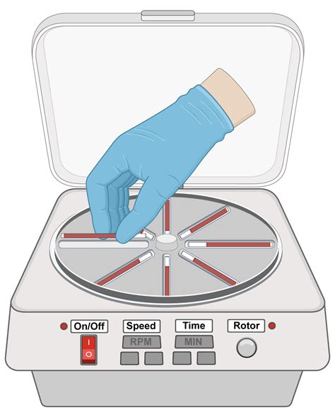 Hematocrit Test Lesson Human Bio Media