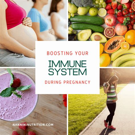Immune System Pregnancy Joyful Body Yoga
