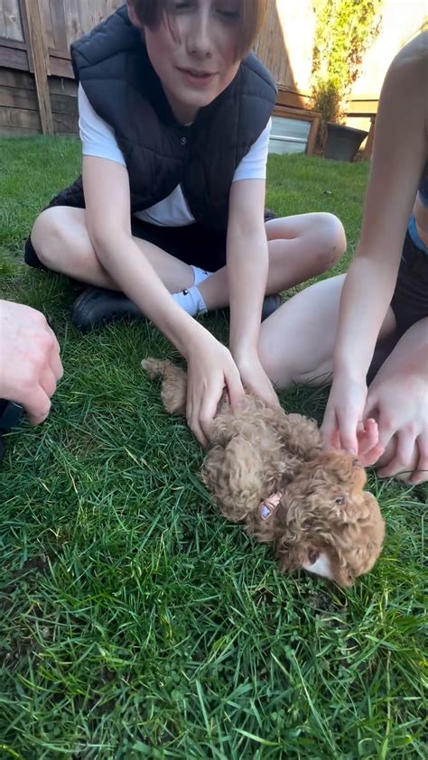 Picture Of Bentley Storteboom In General Pictures Bentley Storteboom