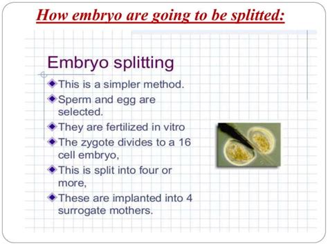Embryo Splitting Pptx