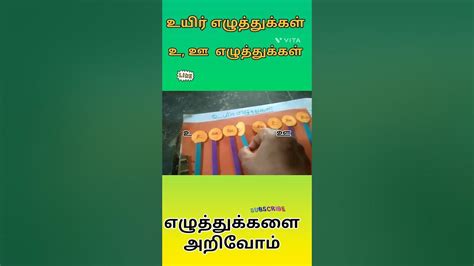 கோடை விடுமுறையில் தமிழ் மொழியை கற்போம் உயிரெழுத்துக்கள் உஊ எழுத்துக்களை அறிவோம்shortsfeed