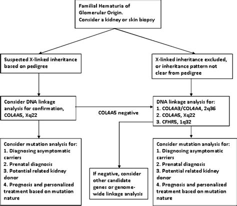 Algorithm For Molecular Testing Of Patients Belonging To Families Download Scientific Diagram