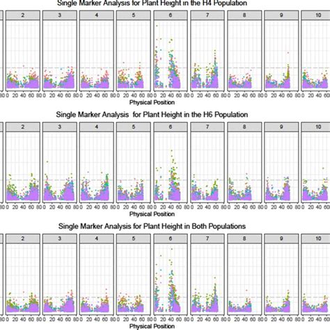 Single Marker Analysis Of Plant Height In The H4 H6 Derived And