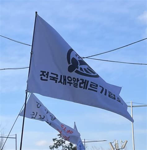 윤석열 탄핵 시위 연합모임 깃발 모음  연예이슈 수다방 네모판