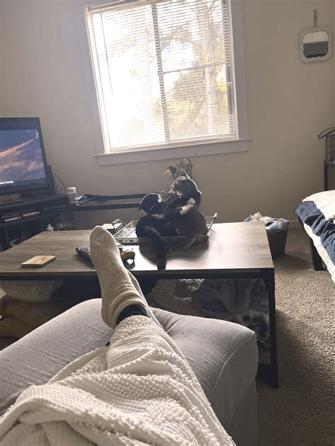 Sibling Luv Scrolller