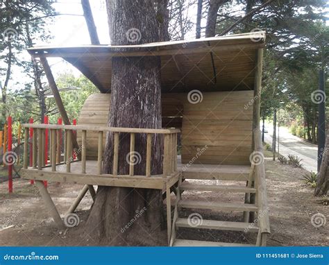 Small Treehouse Stock Image Image Of Casa Travel Nature