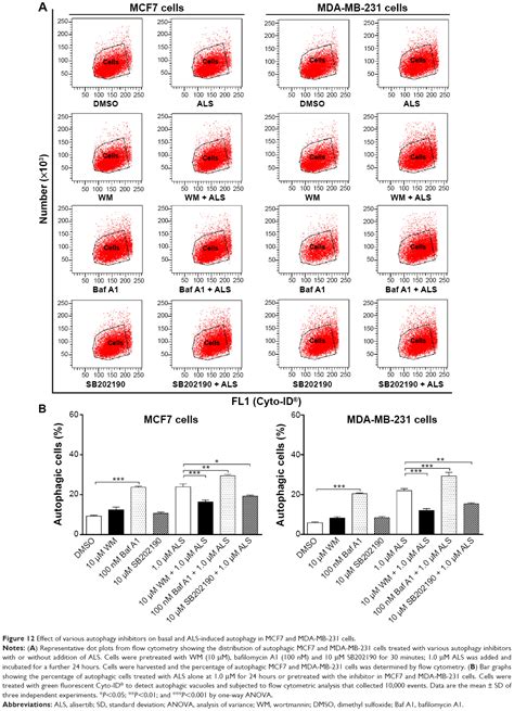 The Investigational Aurora Kinase A Inhibitor Alisertib Mln8237 Indu