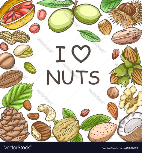 Background With Various Nuts Royalty Free Vector Image