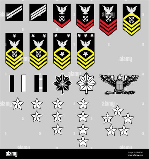 Us Navy Rank Insignia For Officers And Enlisted In Vector Format Stock
