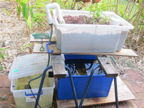 Simple Arduino Controlled Aquaponic System 8 Steps Instructables