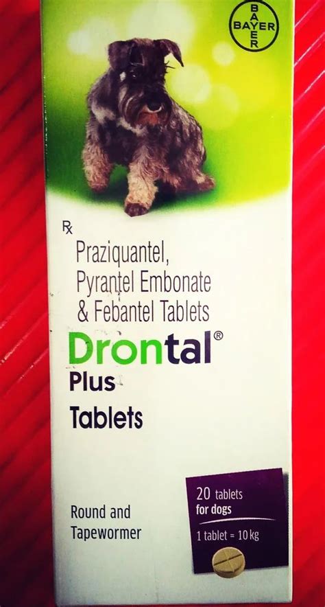 Drontal Plus Tablets For Personal At ₹ 3500pack In Nagpur Id