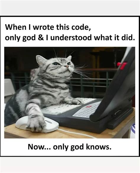 coding diya like comment and share with everyone😂 techmemes memes