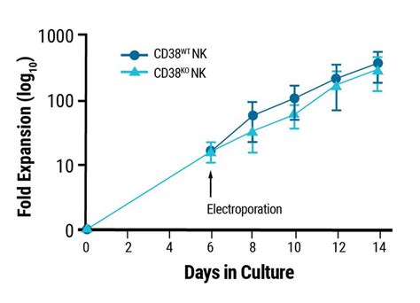 Cell Therapy Development Maxcyte