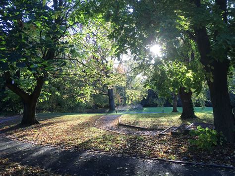 Theological Reflection