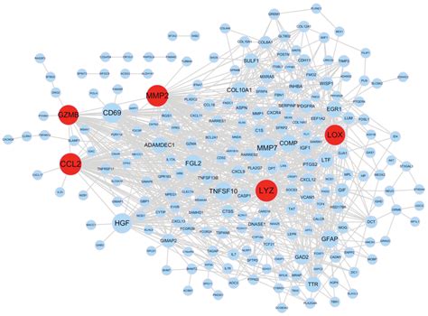 protein protein interaction network of differentially expressed genes