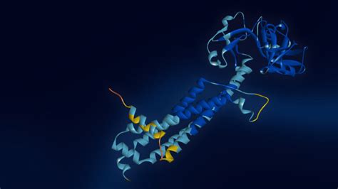 From Alphafold2 To Openfold To Protein Structure Prediction In