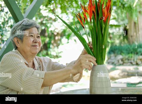 Asian Old Asian Elderly Senior Elder Woman Arranging Flower Bouquet