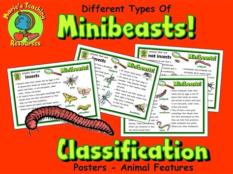 Minibeasts Insects Classification Posters Writing Prompts Science