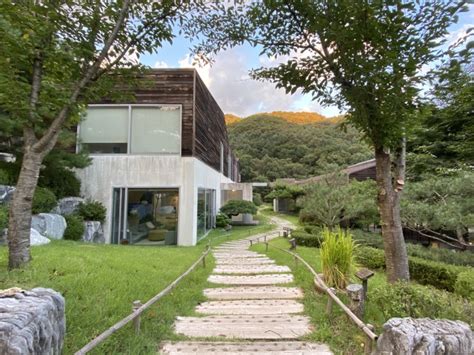 강원 홍천 힐리언스 선마을 1일차 입소 디지털디톡스 요가 불멍 숲속 스테이 네이버 블로그