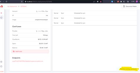 Deployment Details Indicates No Lease Because No Bids Accepted Even