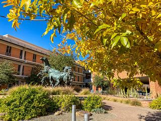 W P Carey School Of Business W P Carey School Of Busin Flickr