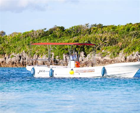 이시가키 섬 은하수 투어 오키나와에세이