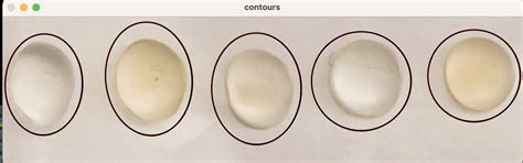 Python How To Crop Out A Circle Inside Marked Area Stack Overflow