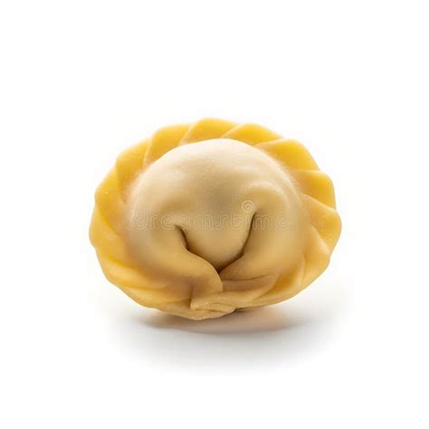 Delicious Golden Fried Dumpling Isolated On A Clean White Surface Stock