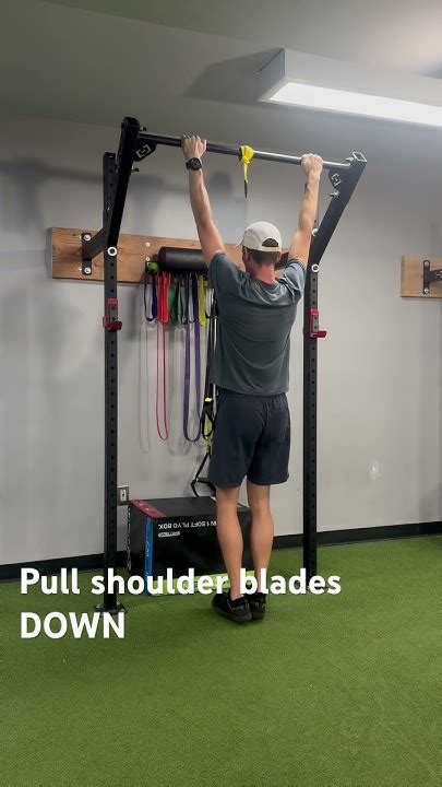 Scap Pulls Scapular Pull Ups Youtube