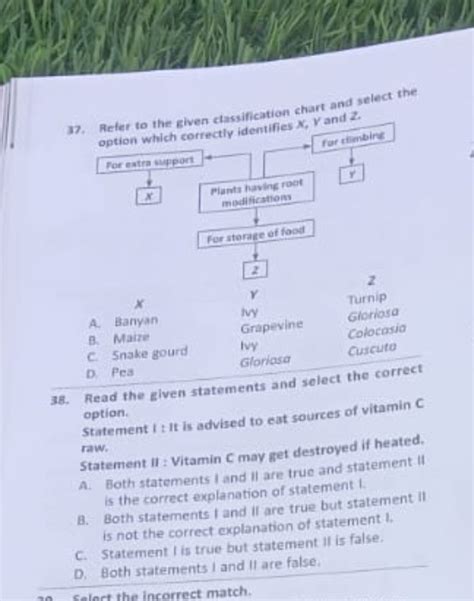 Refer To The Given Classification Chart And Select The Option Which Corre