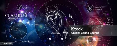 점성술 황소 조디악 기호현대 마법 마술 카드 현실적인 손 그리기 황소 머리 조디악 특성 황소자리에 대한 스톡 벡터 아트 및 기타 이미지 황소자리 고풍스런 금성