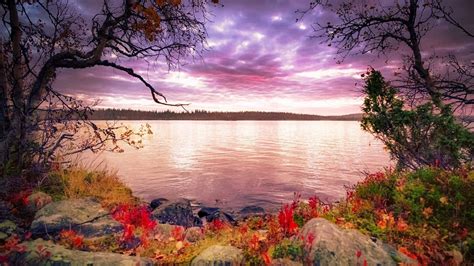 100 Early Fall Wallpapers