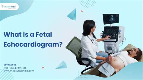What Is A Fetal Echocardiogram Fetal Echocardiogram Test