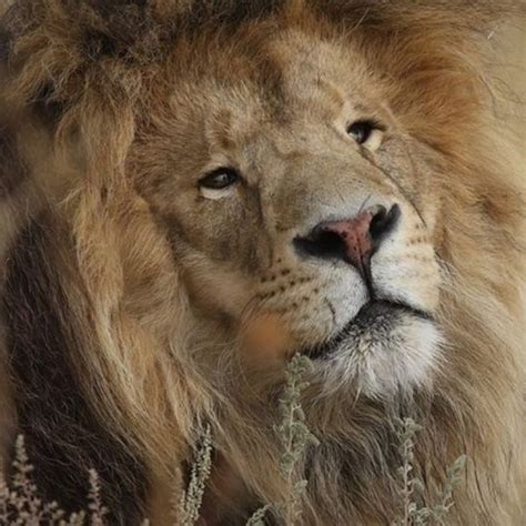 Creator Scientists Have Identified An Encouraging Trend Showing That