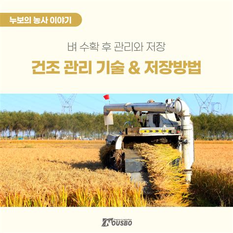 주 누보 누보의 농사 이야기 벼 수확 후 건조관리 기술과 다양한 저장 방법