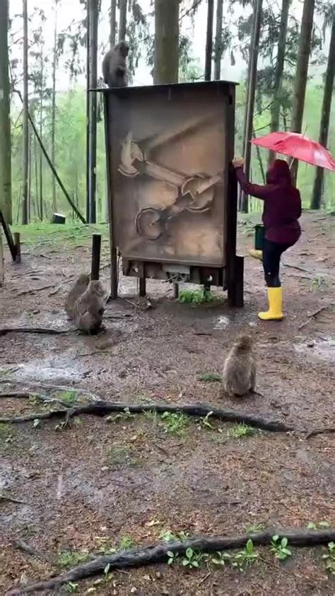 Thats A Smart Monkey Album On Imgur