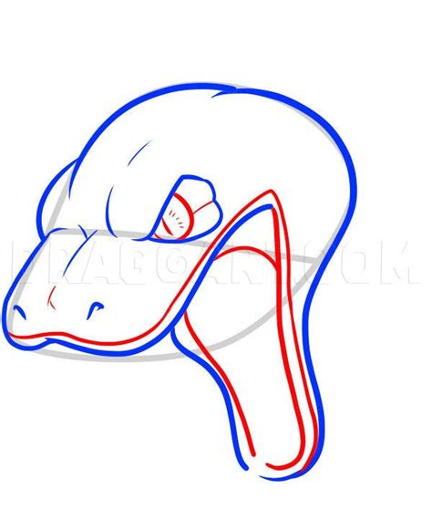 How To Draw A Snake Head Draw Snake Heads Step By Step Drawing Guide By Dawn Dragoart Com