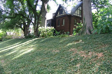 Gardening On Slopes And Hillsides Yard And Garden