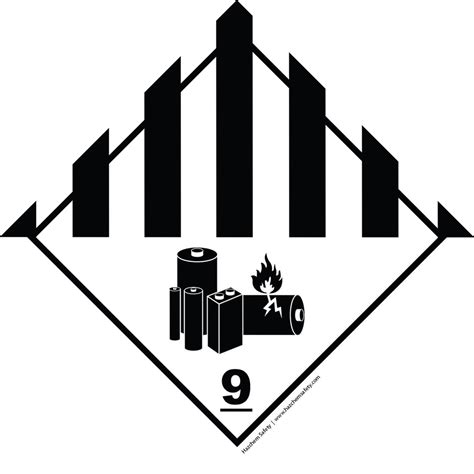 Lithium Battery Adequate Instruction For Shipping Section Ii Lithium