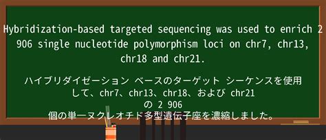 【英単語】nucleotide Polymorphismを徹底解説！意味、使い方、例文、読み方 おもしろい英文法