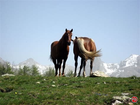 Georges Fabry Flickr