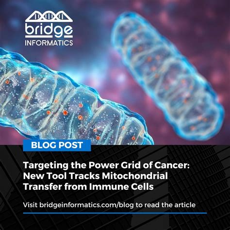 Bridge Informatics On Linkedin Mitochondrialtransfer Cancerresearch Mercialgorithm Lifesciences