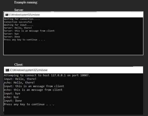 Solved 325 An Echo Server Echoes Back Whatever It Receives