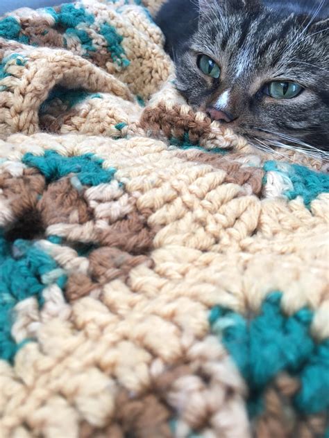 21 Best Upixieled Images On Pholder Aww Houseplants And Discworld