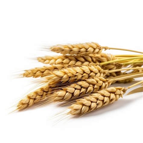 Premium Ai Image Wheat Plant