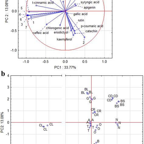 Projections Of The A Variables Onto The Factor Plane Defined By