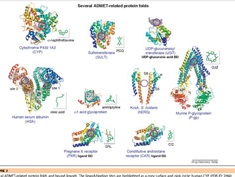 Figure 2 From Toward In Silico Structure Based Admet Prediction In Drug Discovery Semantic