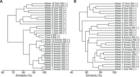 Cluster Analysis Of The Microeukaryotic Community Based On The Dgge